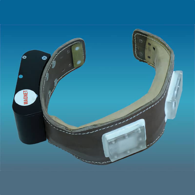 Accelerometer Logger – North Star Science and Technology