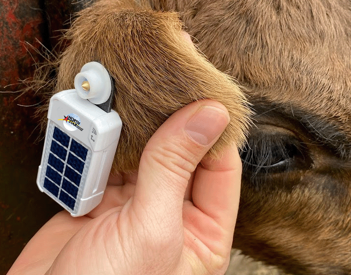 Phoenix Ear Tag 26g – North Star Science and Technology